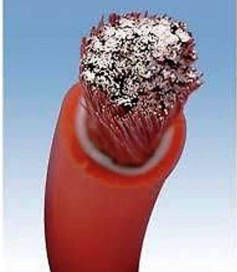 DC Power Cable High Current 50MM - Red | Energy Connections